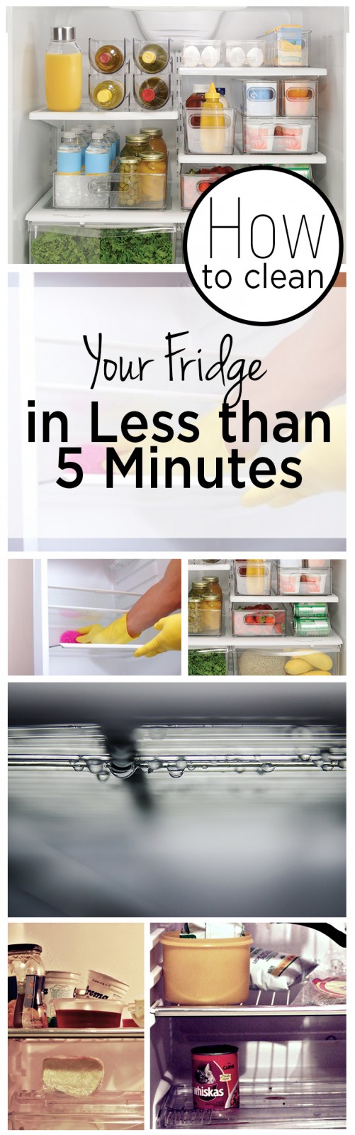 How to Clean Your Fridge in Less than 5 Minutes - Wrapped in Rust