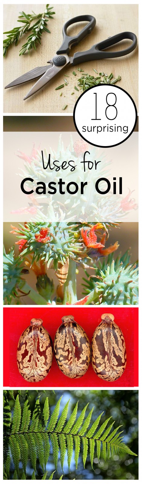18 Surprising Everyday Uses for Castor Oil - Wrapped in Rust