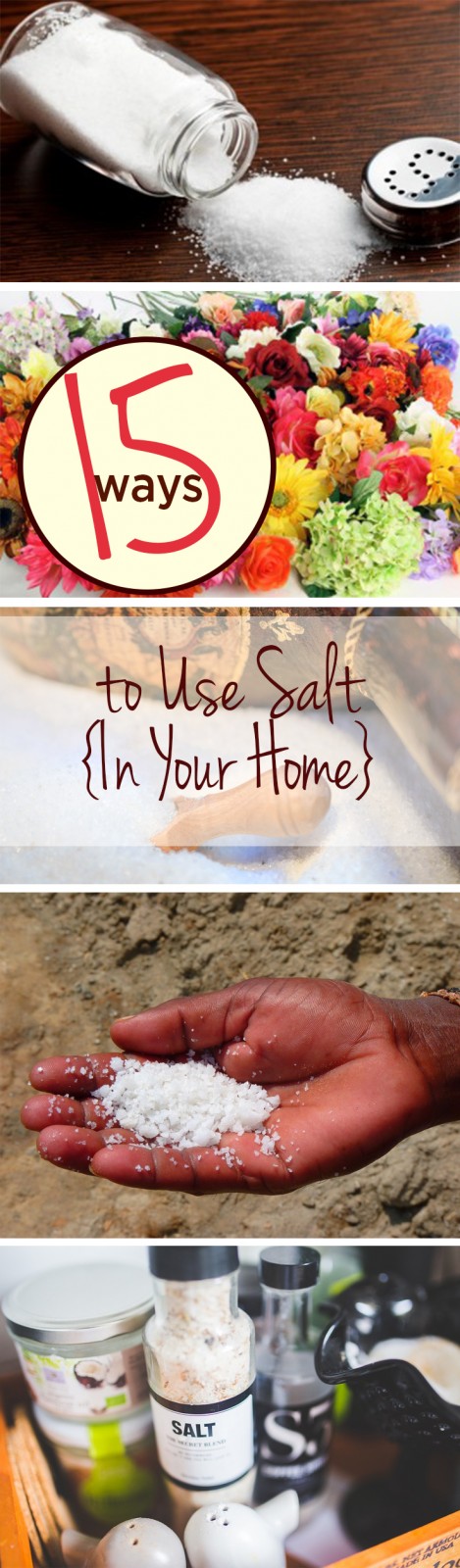 15 Ways to Use Salt {In Your Home} - Wrapped in Rust