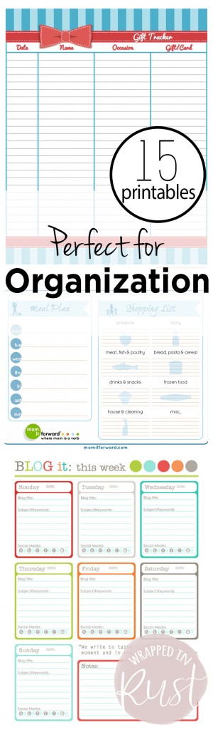 15 Printables Perfect for Organization - Wrapped in Rust