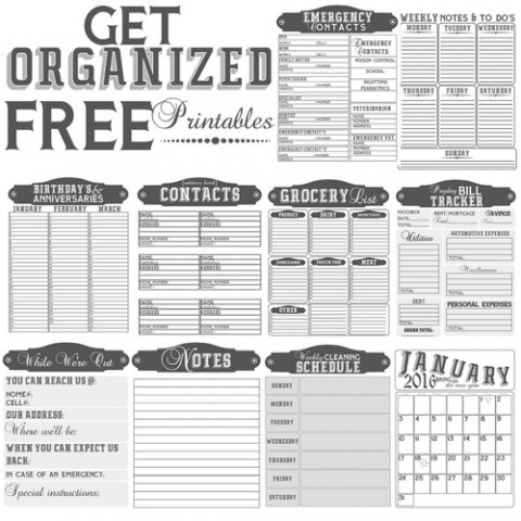 Printables For Organization: Organize - Tips And Tricks - Wrappedinrust.com