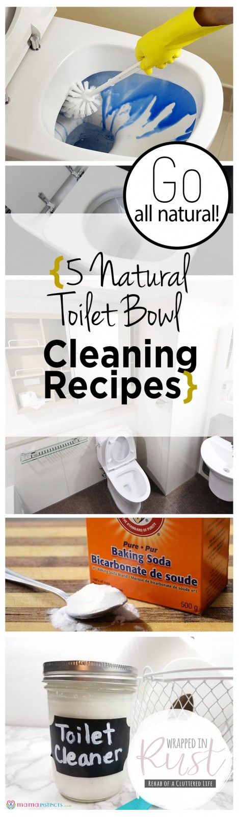 Go All Natural! {5 Natural Toilet Bowl Cleaning Recipes} - Wrapped in Rust