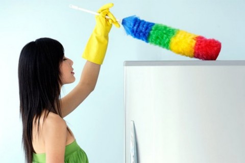 15 Super Simple Ways to Dust Your Entire Home (Fast!) - Wrapped in Rust