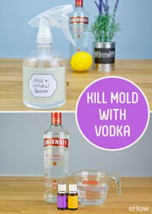 Made With Vodka: Cleaning Recipes - Wrapped in Rust
