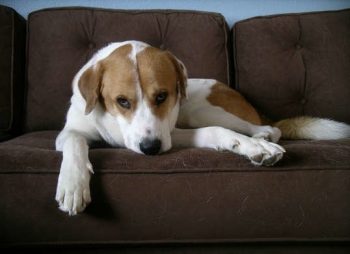 Make Your Life a Breeze With Duct Tape - Wrapped in Rust