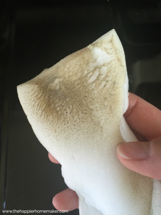 How to Remove Oil Stains in the Kitchen - Wrapped in Rust