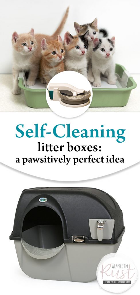 Self-Cleaning Litter Box: A Pawsitively Perfect Idea - Wrapped in Rust